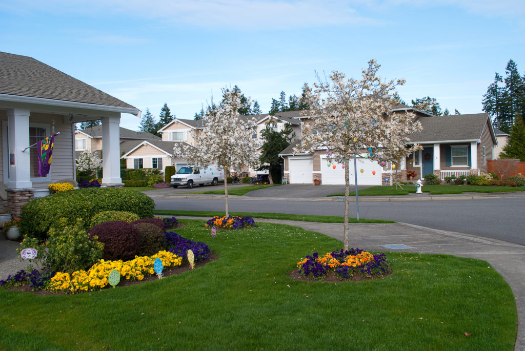 On The Level Landscaping - On The Level LandScaping